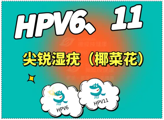 感染了HPV6型怎么办？成都专业看诊hpv的医院哪里好？